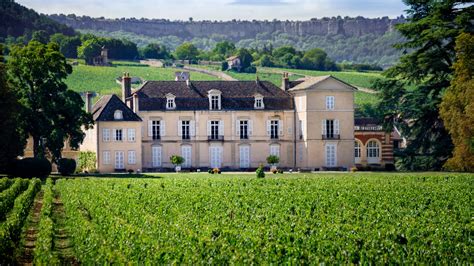 Meursault Burgundian Wine Region Wine Searcher