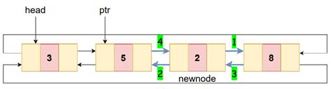 Circular Doubly Linked List