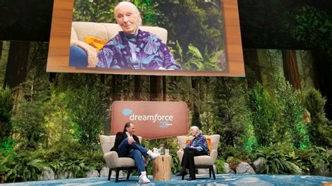 David Falzone On Linkedin Salesforce Dreamforce2022 Janegoodall Frontrow Sanfrancisco…