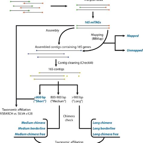 Schematic Representation Of The Pipeline Implemented To Process And