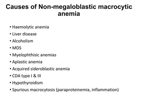Diagnostic Approach To Macrocytic Anemia Pptx
