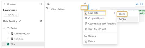 using microsoft fabric for in depth data profiling the meloro fabric blog