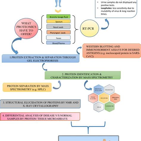 A Schematic Representation Of Protemics Techniques For Sars Cov2