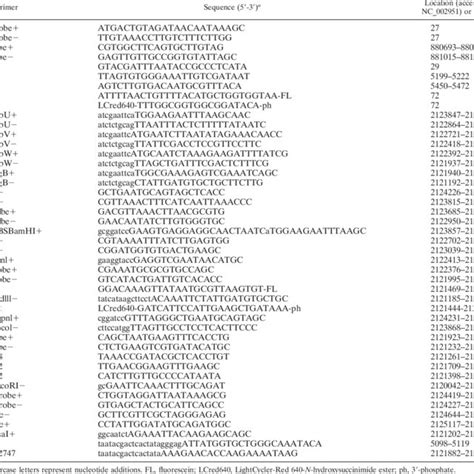 Genetic Organization Of The S Aureus Sigb Operon Schematic
