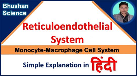 Reticuloendothelial System Monocyte Macrophage Cell System In Hindi Bhushan Science Youtube