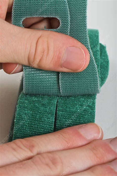 Hooks And Loops Fastener Stock Image F031 5717 Science Photo Library