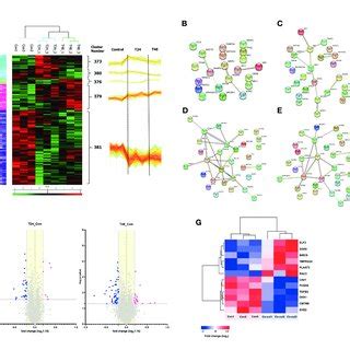 Proteomics Analysis A A Hierarchical Clustering Analysis Was Download Scientific Diagram