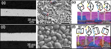 Typical Morphology And Orientation Of Cu6sn5 Grains A Cross Section