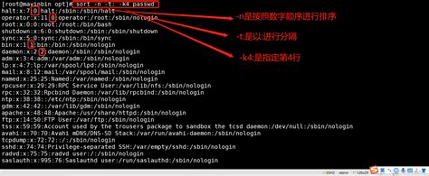 shell编程之正则表达式与文本处理器 shell编程与正则表达式与文本处理 csdn博客