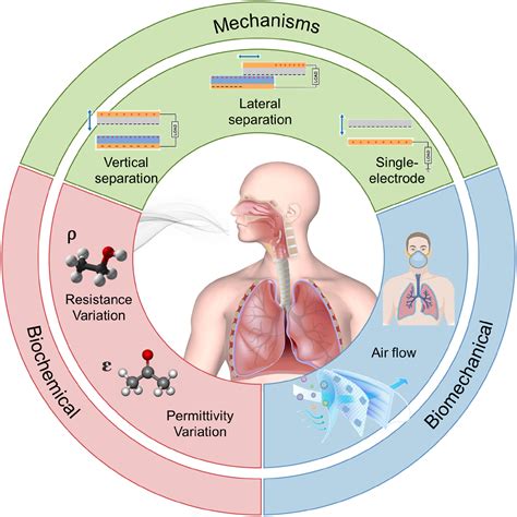 Flexmat Flexible Electronics Journal Wiley Online Library
