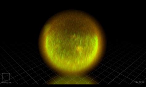 Board 정자가 난자를 만났을 때