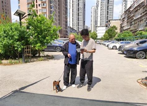 六厂前街社区开展文明养犬宣传活动 大河新闻