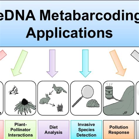 Pdf Past Present And Future Perspectives Of Environmental Dna Edna