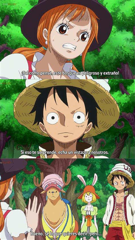 One Piece Is In The Middle Of Two Different Scenes
