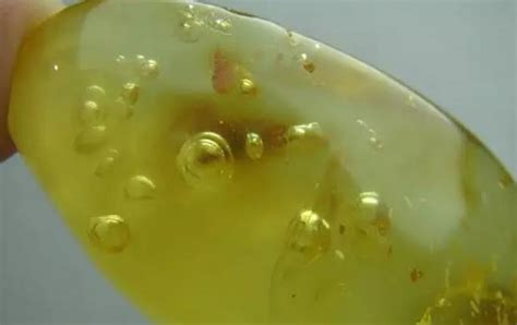 琥珀的形成过程 琥珀价格多少钱一克 随意云