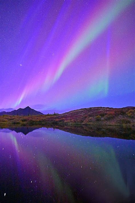 紅葉と水に映る紫のオーロラ 写真家 谷角 靖オフィシャルブログオーロラの降る街 谷角絶景劇場 Powered by Ameba オーロラの写真など