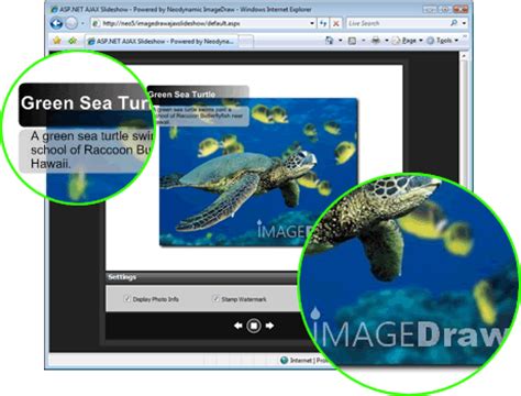 How To Build An Advanced ASP NET AJAX Photo Slideshow Featuring Imaging Effects And Watermarks