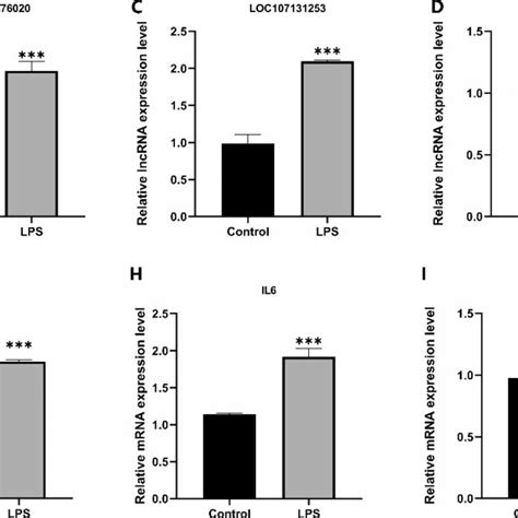 Validation Of RNA Seq Data Using RTqPCR P Download Scientific Diagram