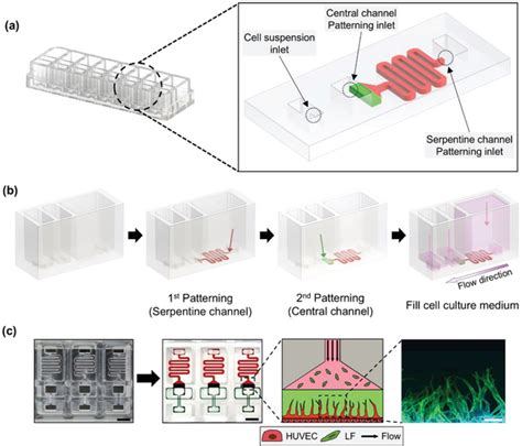 Structural Features And Application Methods Of Microfluidic Download Scientific Diagram