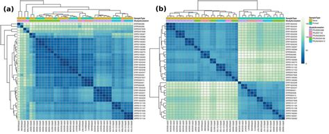 Hierarchical Clustering Of The Samples A Before And B After Download Scientific Diagram
