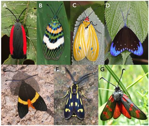Toxins Special Issue A Continuing Battle Between Toxins And Insects