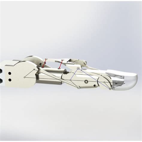 A Left Mcp Pip And Dip Joint Angles As A Function Of Mcp Flexion Download Scientific