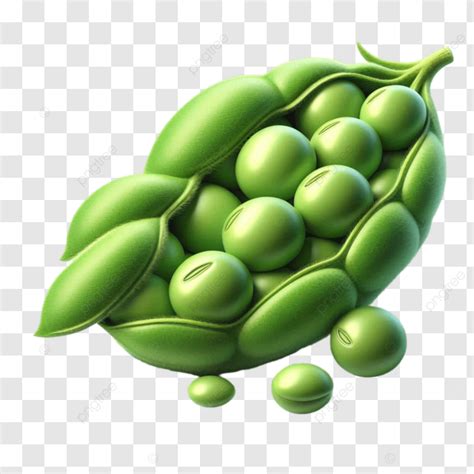 녹색 완두콩 클립 아트 흰색 배경에 고립 흰색 배경에 고립 된 녹색 완두콩 녹색 완두콩 클립 아트 흰색 배경에 고립 완두콩 Png 일러스트 및 이미지 에 대한 무료