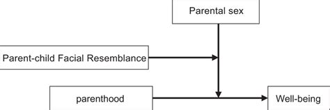 The Comprehensive Hypothesis Model In The Present Study The Moderating Download Scientific