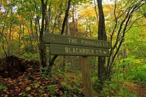 Trails Carolina Reviews