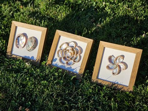 3d Shell Art Shell Framed Art Abalone Shell Art Coastal Shell Art Flower Shell Decor Floral
