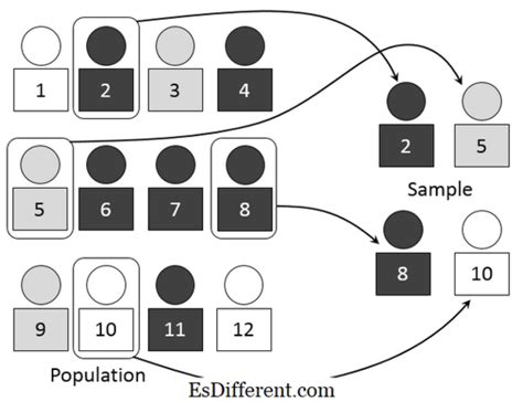 Perbedaan Antara Sensus Dan Sampling Sensus Vs Sampling Publik 2025