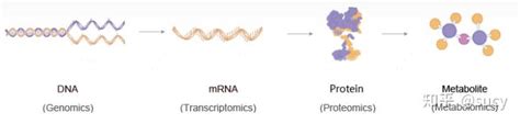 代谢组学 知乎