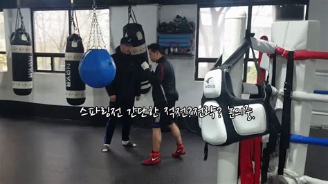 Wba아시아챔피언 정마루 Vs Kbf한국챔피언 김동희 복싱스파링 Youtube
