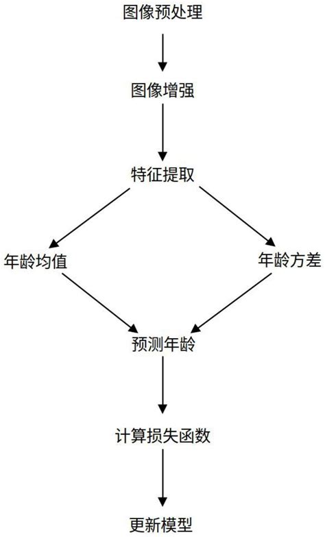 一种增加不确定性预测的年龄估计方法