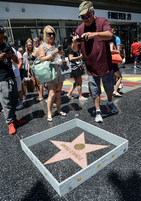 Instalaron Un Muro En Miniatura En La Estrella De Donald Trump En Hollywood