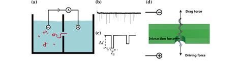The Basic Principles Of Nanopore Detection A The Schematic
