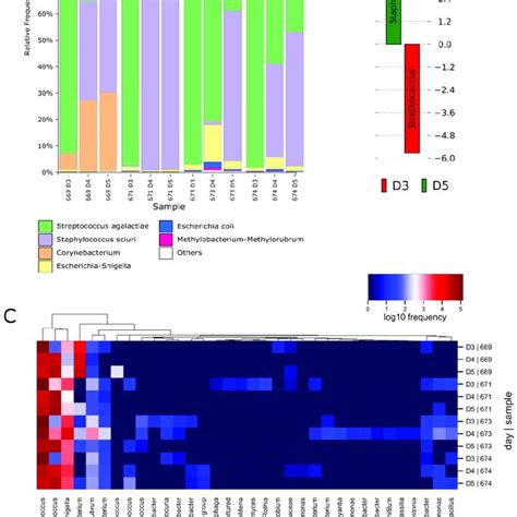 Metagenomic Analysis Of V3 V4 Fragment Of 16s Rrna Gene Sequencing From