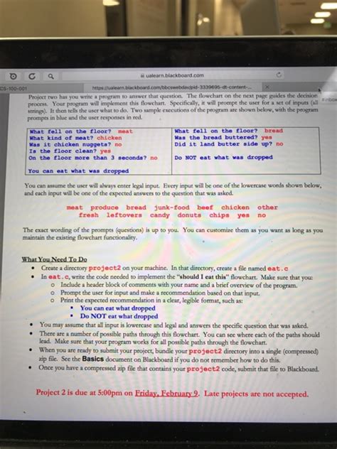 Solved Hey I Need Help On This Programmingcoding Project I