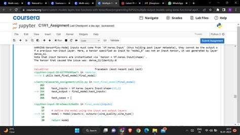 Finalmodel Error Custom Models Layers And Loss Functions With Tf