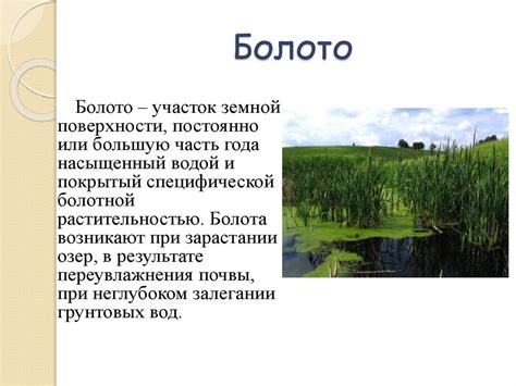Природа в сказке были М М Пришвина «Кладовая солнца презентация онлайн