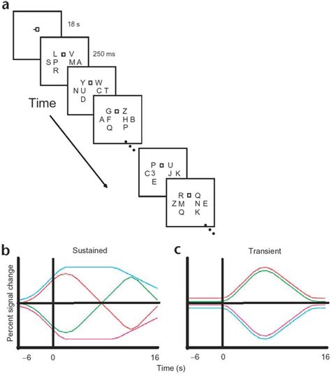 Task And Predictionsa The Rapid Serial Visual Presentation Rsvp