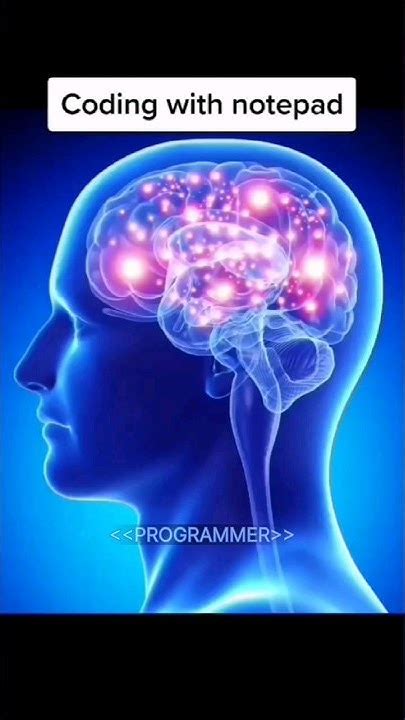 Software Engineer On Your Mind 👨‍💻🔥 Viral Coding Brilliantdeveloper