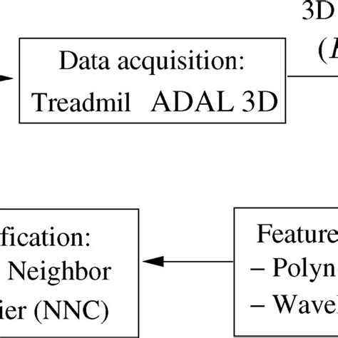 Block Diagram Of The Proposed Hierarchical Classification System Download Scientific Diagram