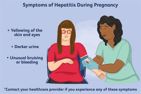 Hepatitis B Vaccine And Pregnancy At Frank Keith Blog