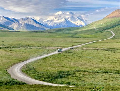 Denali Tundra Wilderness Tour 60 Foto