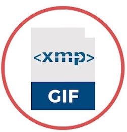 Add Or Remove Custom XMP Metadata From GIF Using Java