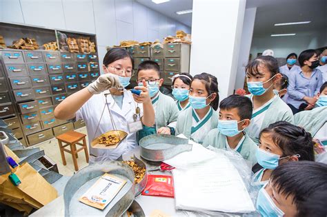 高淳中医院：访中医，问草药 小小中药师领略国粹魅力新华报业网