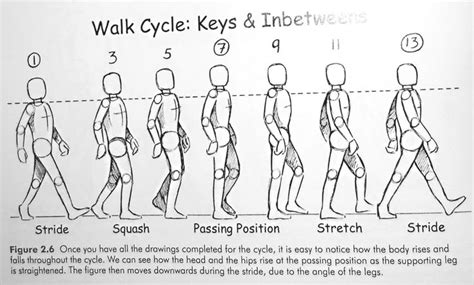 25 Best Walk Cycle Animation Videos And Keyframe Illustrations