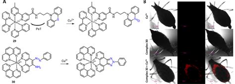 Molecular Structure Of Ru Ii Complexes 29 30 And Their Response Download Scientific Diagram