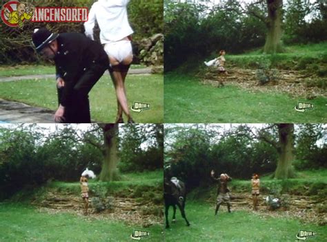 Naked Ava Cadell In The Ups And Downs Of A Handyman